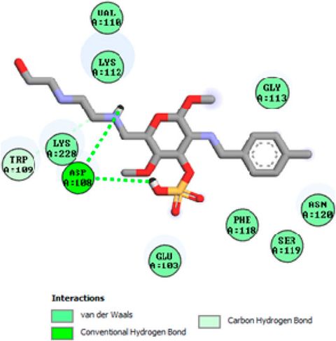 chitosan structure pdb