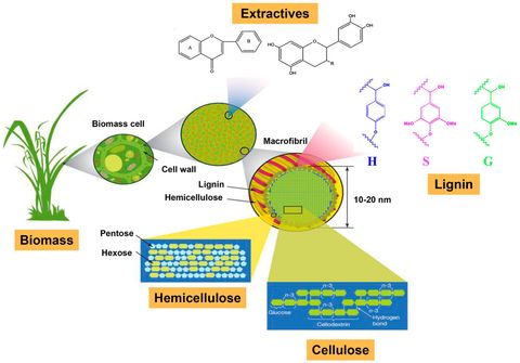 hemicellulose composition