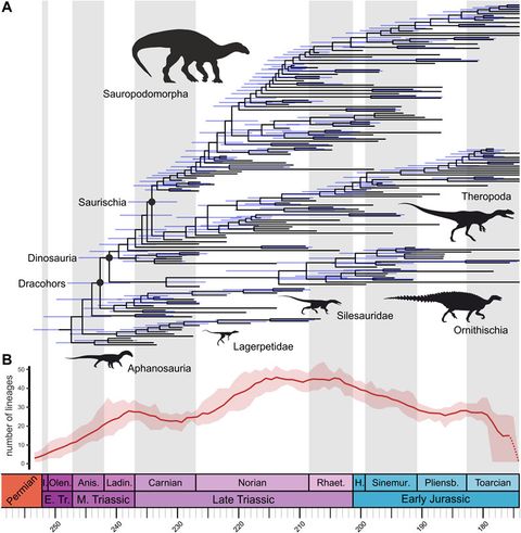 dinosaur evolution chart
