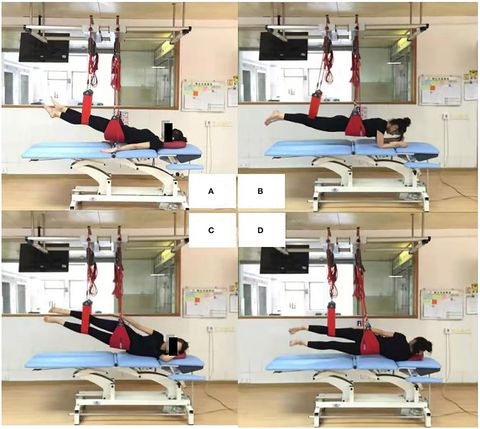 multifidus exercises for elderly