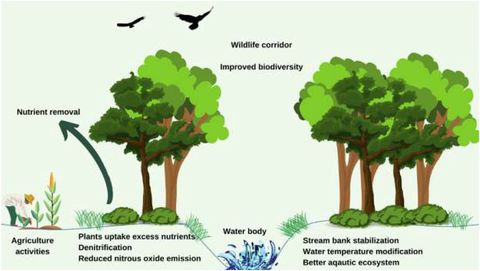 riparian buffer upsc