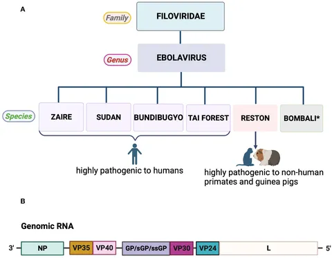 John Towner Williams Family Tree
