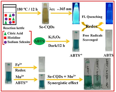 fchem-09-658105-g005.jpg fchem-09-658105-g005.jpg
